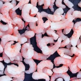 COOKED & PEELED INDIVIDUALLY QUICK FROZEN PRAWNS 125/175