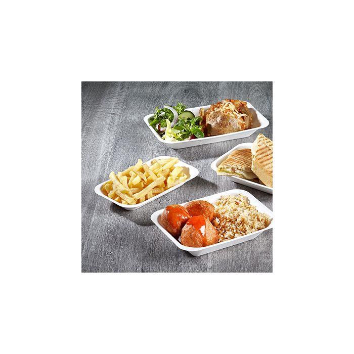 ECO BAGASSE CHIPPY TRAY